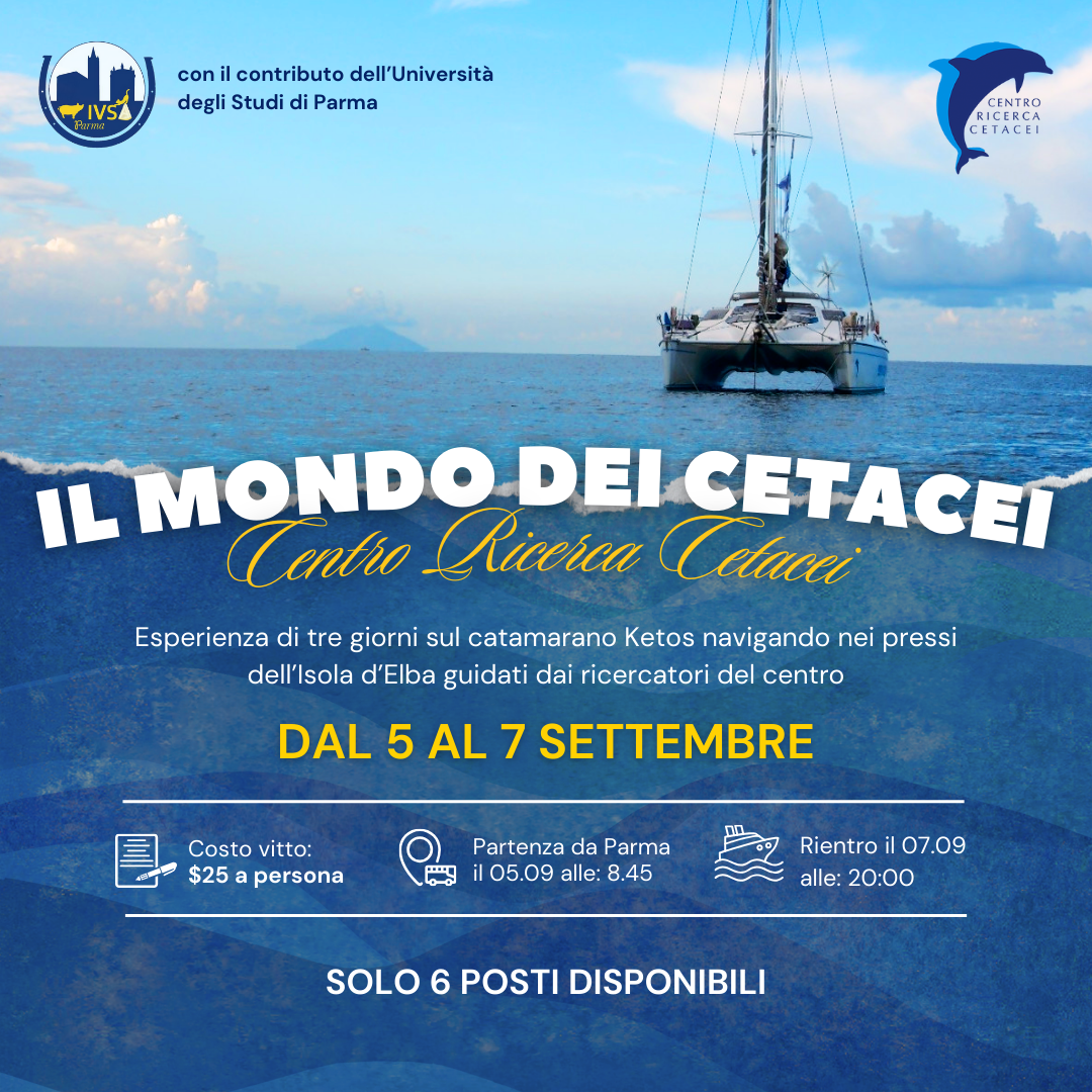 Il mondo dei cetacei: iscrizioni aperte fino al 24 maggio | Università ...