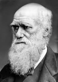 7 maggio: “IV Darwin Day – L’evoluzione dietro l’angolo” | Università ...