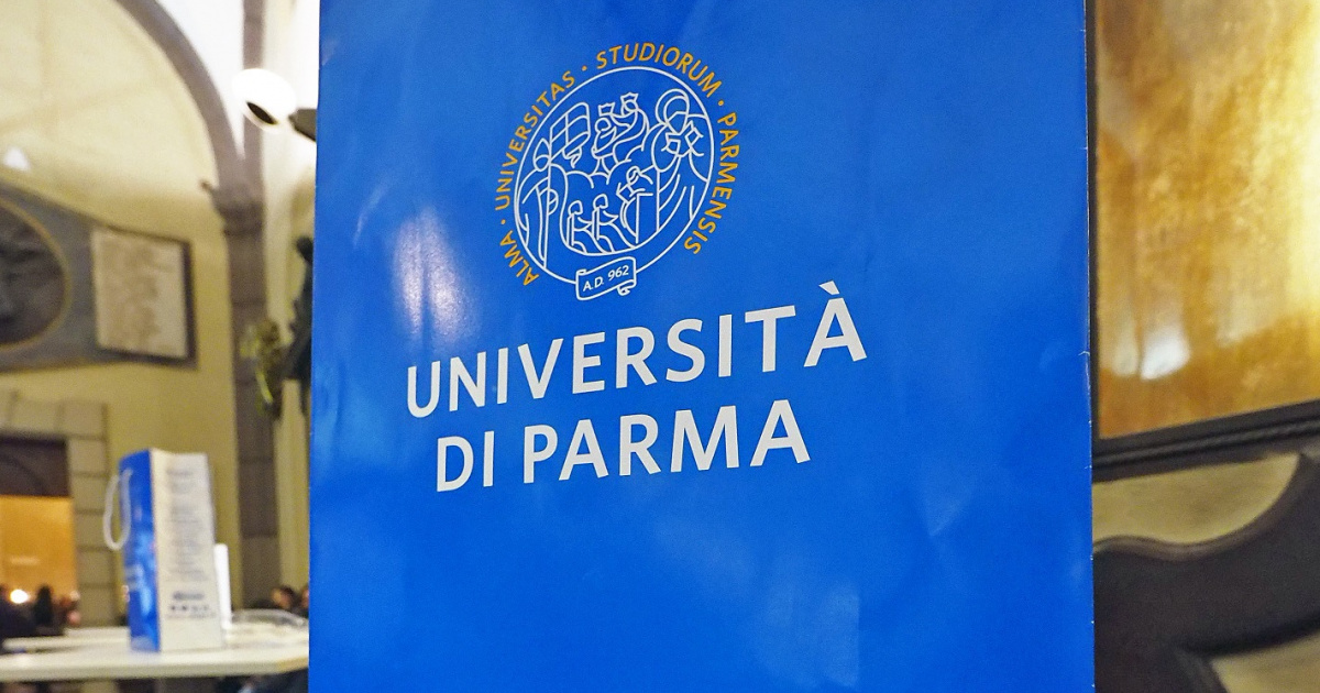 University Logo and Corporate Identity Manual | Università degli studi ...